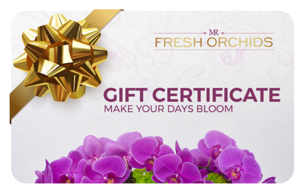 Orchid Gift Certificate – Mr. Fresh Orchids Miami & Doral